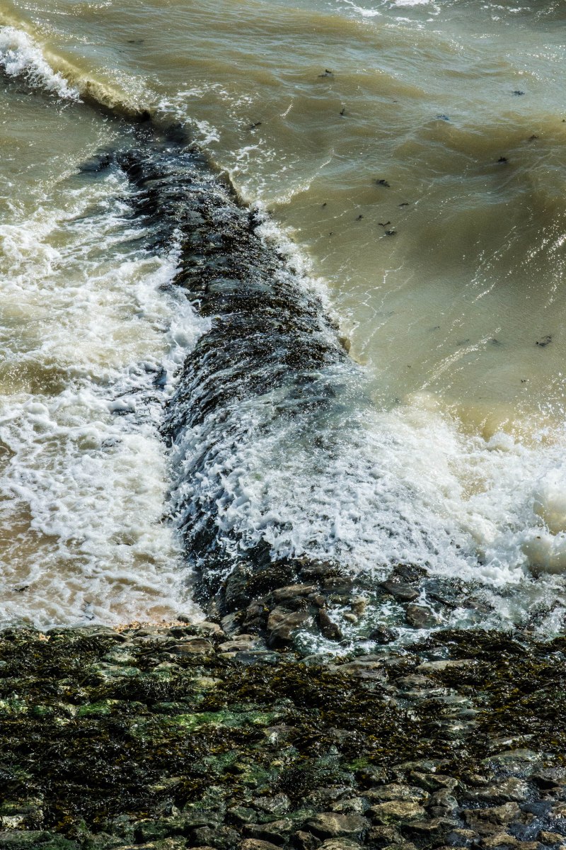 BEACHED WHALE – Spartan Eye